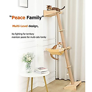 Wall Cat Tree with Hammock, 76" Tall Cat Wall Furniture Lean Against Wall Cats Climbing Tower for Active Indoor Climbers with Simply Suctions to Window