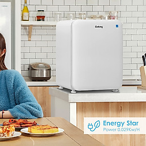 COSTWAY Compact Refrigerator, 2.4 cu ft. Single Door Small Fridge with Auto Defrost, Adjustable Temperature 32℉ to 50℉, Reversible Door, Removable Glass Shelves, Mini Fridge for Bedroom, Apartment, White