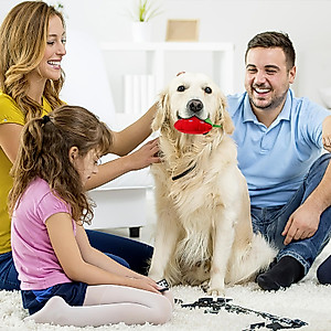 POPETPOP 2Pcs Dog Plush Squeaky Toys - Soft Strawberry Shape Interactive Puppy Chew Toy Stuffed Strawberry for Dogs Teething, Playing, Chewing for Holiday Christmas