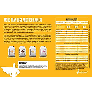 Metabolic Nutrition - Musclean - Milkshake Weight Gainer, Whey High Protein Meal Replacement, Maintenance Nutrition, Low Carb, Keto Diet, Digestive Enzymes, Vanilla, 2.5 Pound (25 ser)