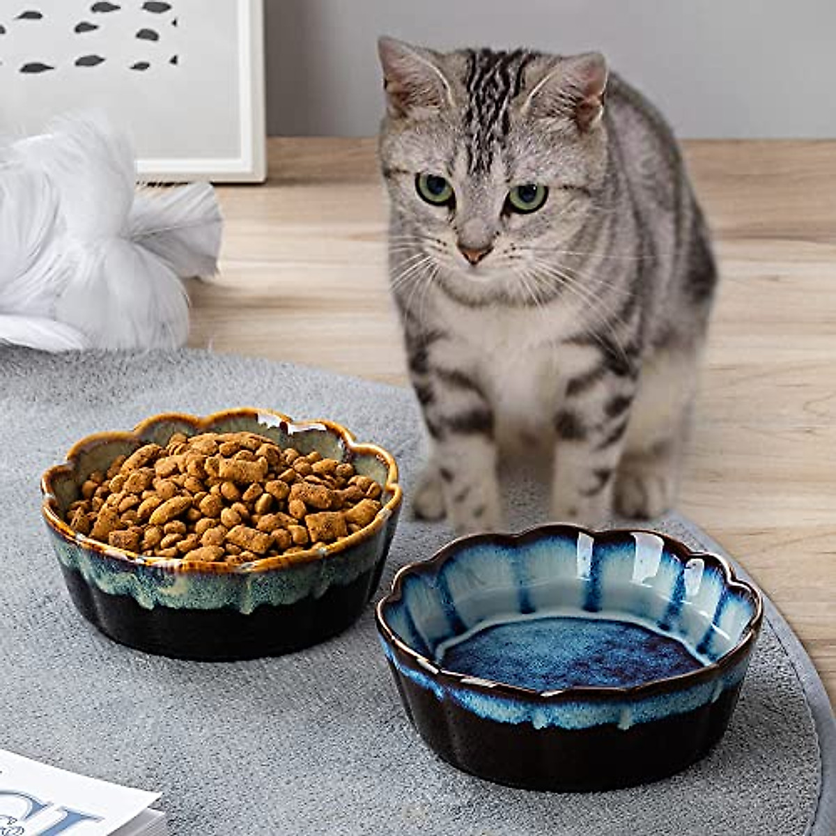 SIDUCAL Ceramic Cat Bowls, 5 Inch Cat Bowls for Food and Water, Non-Slip Cute Pet Feeding Bowls for Cats and Small Dogs, Nice Glazed, Oven Microwave Dishwasher Safe(Blue/Green-2 Packs)