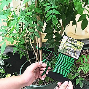 CAMITLLI Reusable Garden Plant Wire Twist Tie, Plant Ties Heavy Duty Soft Wire Tie for Gardening Home Office (Green, 2PCS X 32.8feet Total, 65.8feet)