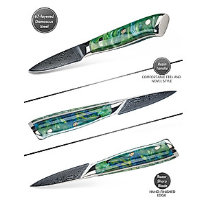 SANMUZUO 3.5 Inch Paring Knife - Kitchen Fruit Vegetable Knife Damascus Steel & Resin Handle - XUAN Series (Jade Green)
