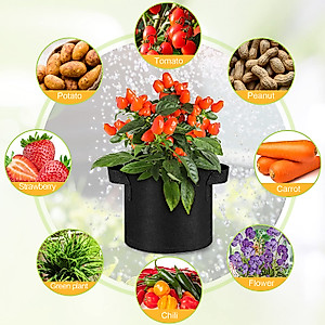 Nuanchu 60 Packs 2 Gallon Grow Bags Bulk Aeration Fabric Pot with Handles Thickened Nonwoven Garden Bags to Healthy Root Growth Vegetables Heavy Duty Grow Pots Planting Bag Planter for Flower Fruits