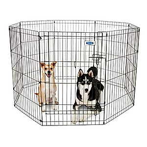 Petmate 30-Inch by 24-Inch 8-Panel Exercise Pen with Step Through Door,Black