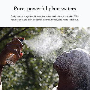 evanhealy Lemon Thyme HydroSoul | Copper Distilled Hydrosol | Purifying Facial Tonic | Organic Plant Face Toner | Purify & Decongest Blemished, Congested, Teen Skin