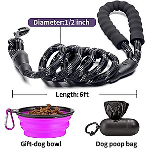 COOYOO 2 Pack Dog Leash 6 FT Heavy Duty - Comfortable Padded Handle - Reflective Dog Leash for Medium Large Dogs with Collapsible Pet Bowl Set 3-Black+Purple