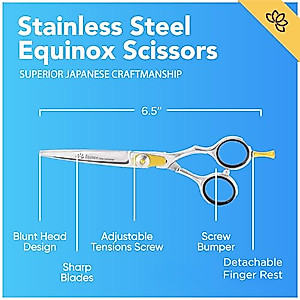 Equinox Razor Edge Series Professional Hair Scissors - 6.5” Premium Japanese Stainless Steel Hair Cutting Scissors, Hair Shears for Hair Cutting, Barber Accessories & Hair Salon Supplies - Silver