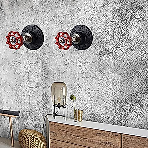 DSDST 3 Pcs Industrial Pipe Coat Hook Racks, Rustic Hat Robe Coat Hooks, Wall Mounted Heavy Duty Clothing Racks with Hardware for Home,Office