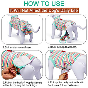 GreenJoy Get-Well-Soon Dog Surgery Recovery Suit - Soft Breathable Dog Onesie Post Spay,Neuter,E-Collar & Cone Alternative Dog Bodysuit for Small, Medium, Large Dogs (Green Stripes, XL)