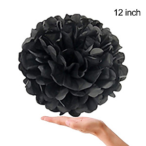 Tissue Paper Pom Poms Paper Flower 22Pcs for Birthday Bachelorette Wedding Baby Shower Bridal Shower Party Decoration