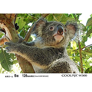 Nikon Digital Camera COOLPIX W300 COOLPIX Camouflage Waterproof Camera