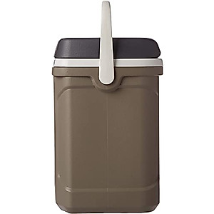 Igloo 30qt sportsman cooler