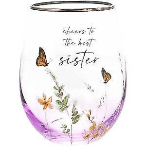 Pavilion - Sister 20 ounce Stemless Wine Glass, Modern Rainbow Wine Glass, Sister Gifts, Great Wine Glass Gifts For Sister, Women, Sisters Gifts From Sisters, 1 Count, Multicolor