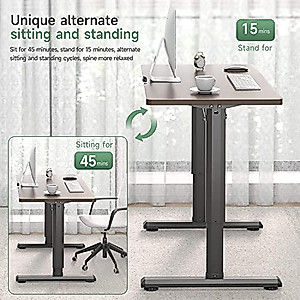 Dripex Adjustable Electric Standing Desk 1, 43 inch, White