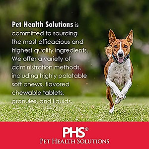 CardioMAX Heart Support Supplement for Dogs - L-Taurine, L-Carnitine, EPA and DHA, Coenzyme Q10 - Aids Circulatory Strength, Cardiovascular Support, Heart Muscle Function - Made in USA - 60 Soft Chews