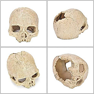 Horolas Fish Tank Decorations, Aquarium Skull Artificial Skeleton Decoration Cave Landscape Pet Reptile House