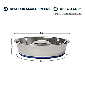OurPets DuraPet Slow Feed Premium Stainless Steel Dog Bowl, Silver, Small (2040010300)
