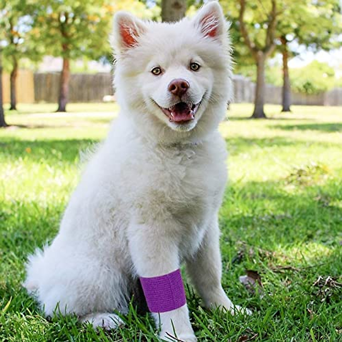 12-Pack Colorful Self Adhesive Stretch Bandage Wrap, 3 Inches x 6 Yards Adherent Cohesive Vet Tape for First Aid, Sports Athletes, Animals, Pets (6 Bright Colors)