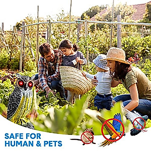 Fake Owl Decoy to Scare Birds Away Solar Scarecrow Decoy Motion Activated Bird Deterrent Bird Repellent with Red Flashing Eyes Frightening Sound Plastic Scarecrow for Yard (Gray, Yellow, 2 Pcs)