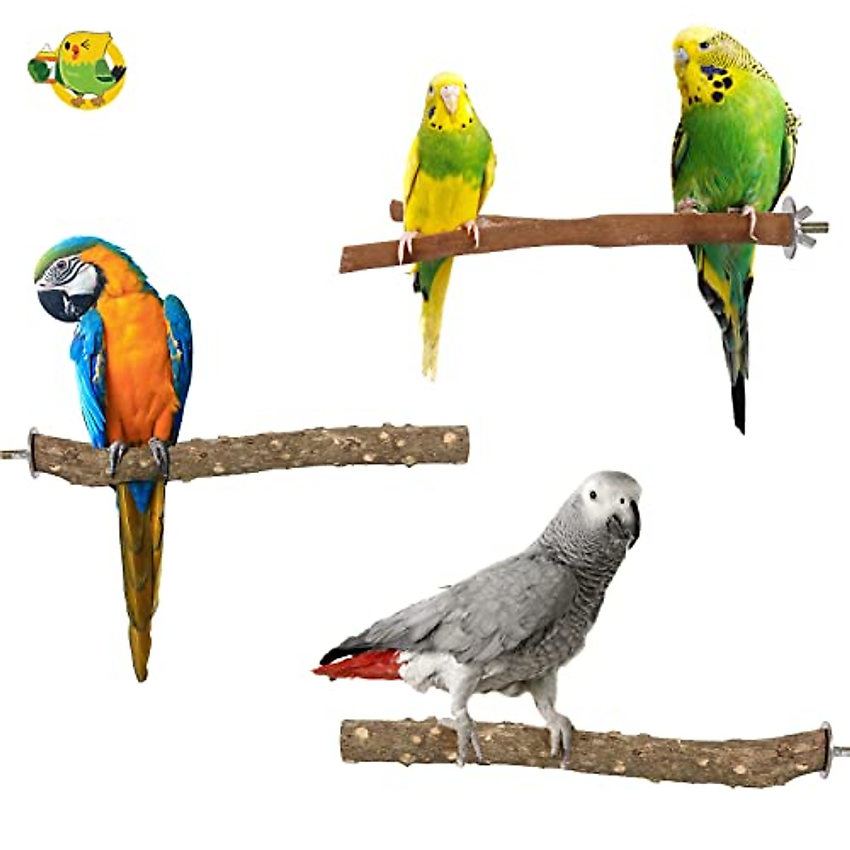 GJRGEG1Y Removable Window/Shower Perch Platform with Suction Cups for Bird Includes Stainless Steel Washer Robust and Stable Without Falling (Small)