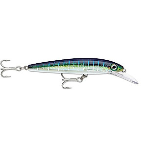 Rapala Husky Magnum 15 Uv HMAG15SFU: Husky Magnum 15 UV, Sailfish