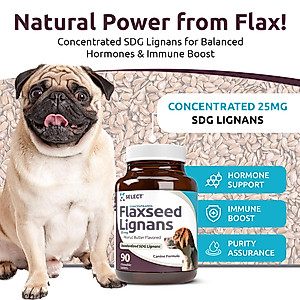 K9 Select Concentrated Flaxseed Lignans for Dogs, 20mg 90 Tablets, Flax Seed Natural Tablets, Peanut Butter Flavored Chewable Tablets, Natural Flaxseed Lignans for Dogs, Flax Impove Dog's Coat