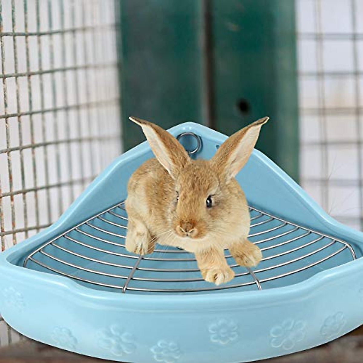 Balacoo Small Animal Litter Cage Ceramic Triangle Potty Trainer Corner Litter Ferret Litter Box Bedding Box Pet Pan for Rabbit Bunny Chinchilla Ferret Guinea Pig Hamster