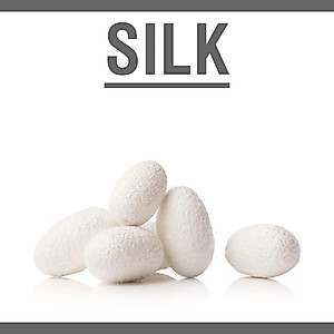 CHI Silk Infusion Reconstructing Comples, 0.5 Fl Oz