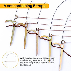 Hunting Trap for Birds Bird Trap for Chicken, Pheasant，Wild Duck, Partridge Mallard and Other Birds Tying Birds' feet Won't Hurt Them
