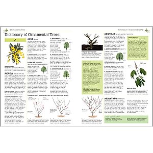 Pruning and Training, Revised New Edition: What, When, and How to Prune