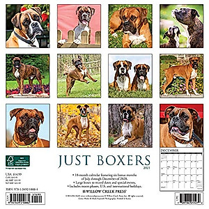 Just Boxers 2021 Wall Calendar (Dog Breed Calendar)