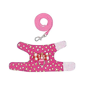 POPETPOP 2Pcs Small Pet Harness with Leash Guinea Pig Rabbit Harness Ferret Hamster Vest Leash Size M (Golden Star)