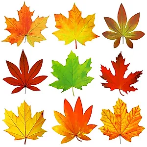 Fall Bulletin Board Decorations Fall Leave Cutout Autumn Thanksgiving Artificial Leaf Cutout Maple Paper Leave with Glue Point Dot for Classroom Bulletin Board Wall Decoration, 3.94 x 3.5 In (135 Pcs)