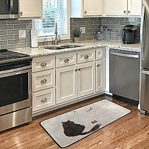 Retro Black Fluffy Cat Dragonfly Kitchen Floor Mat Bath Runner Rug Non Slip Area Mat Rug Absorbent Comfort Standing Mat Carpet for Indoor Outdoor Doormat 39 x 20 Inch