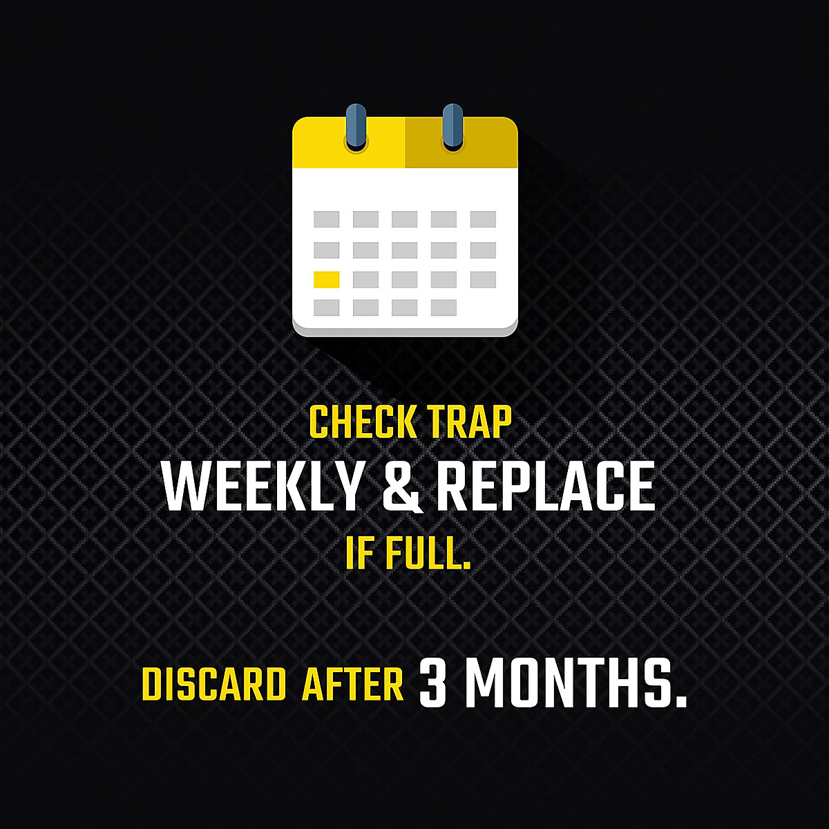 Black Flag Pantry Pest Glue Trap, 2 Count