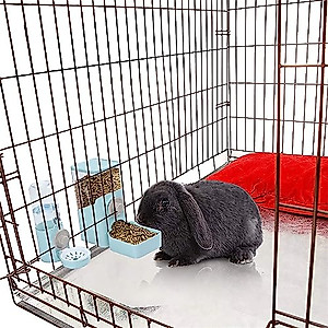 PStarDMoon Bunny Automatic Food Feeder& Water Dispenser & Rabbit Hay Feeder Bag, Gravity Auto Feeder Water Set for Small Dog Cat Small Animals Rabbit Chinchilla Guinea Pig Hedgehog Ferret (Blue)