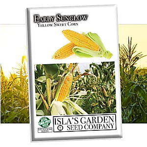 Early Sunglow Sweet Yellow Corn Seeds for Planting, 50+ Seeds Per Packet, (Isla's Garden Seeds), Non GMO Seeds, Botanical Name: Zea mays, Delicious Corn Variety, Great Home Garden Gift