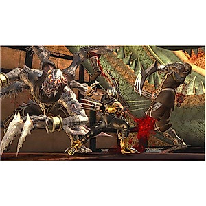 Ninja Gaiden II (Renewed)