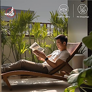 Bird-X Extra Wide 8-inch Stainless Steel Bird Spikes - Metal Roof Guard, Pigeon and Bat Deterrent, Animal and Pest Control Supplies, Covers 10 Feet