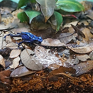 Small Animal Supplies Rep - Cal Ultra Fine &Quot;Zero% D3&Quot; 3.3Oz