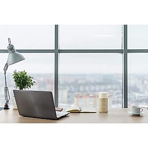 Zojirushi SM-ZP24TZ Stainless Mug