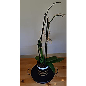 Swarley 9.4 inches Galvanized Metal Round Tray with Handles | Black Serving Tray for Farmhouse Decor - Organizer for Party, Spa, Kitchen and Bathroom.