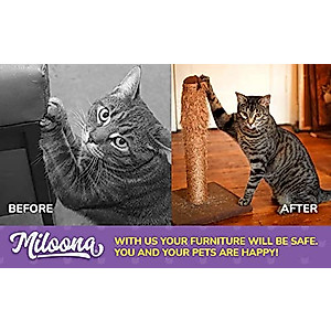 Cat Anti Scratch Furniture/Couch Protector from Cats Scratching - Couch Scratch Protector - Cat Training Tape - Scratch Guard