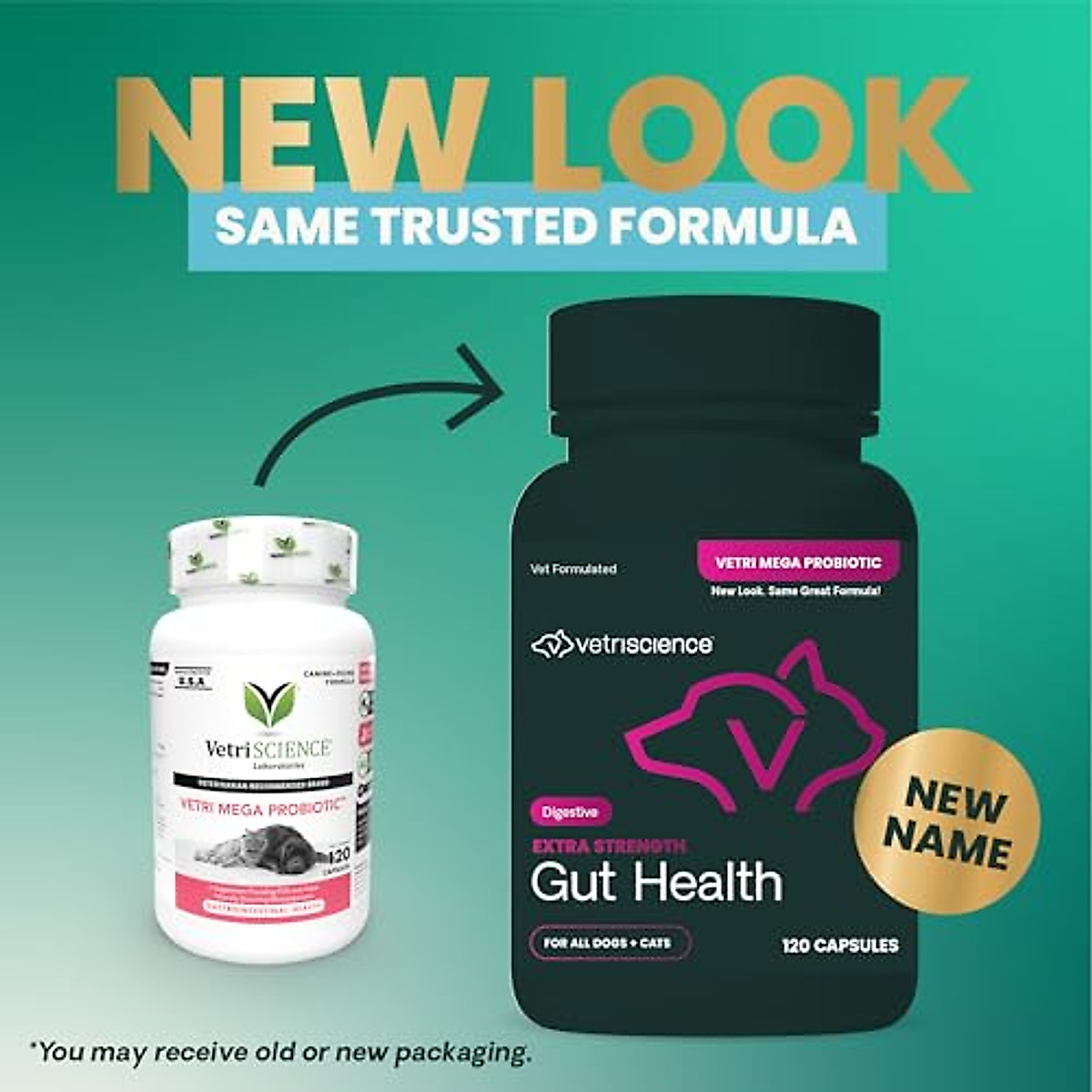 VetriScience Extra Strength Gut Health Easy-Open Capsules, Probiotic & Prebiotic Digestive Supplement for Dogs & Cats, Digestion, Gas & Diarrhea, Immune Support, 7.5 Billion CFU Per Capsule, 120 Count