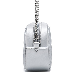 David Jones Trendy Small Cute Silver Bag, Faux Leather Crossover Long Over the Shoulder Womens Purses and Handbags with Chain Strap