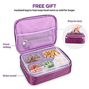 Stainless Steel Kids Bento Lunch Box Leak Proof BPA-Free DaCool School Lunch Container 5-Compartment with Lunch Bag and Fork for Toddler Child Adult, Food Snack Container for Picnic Outdoors, Purple