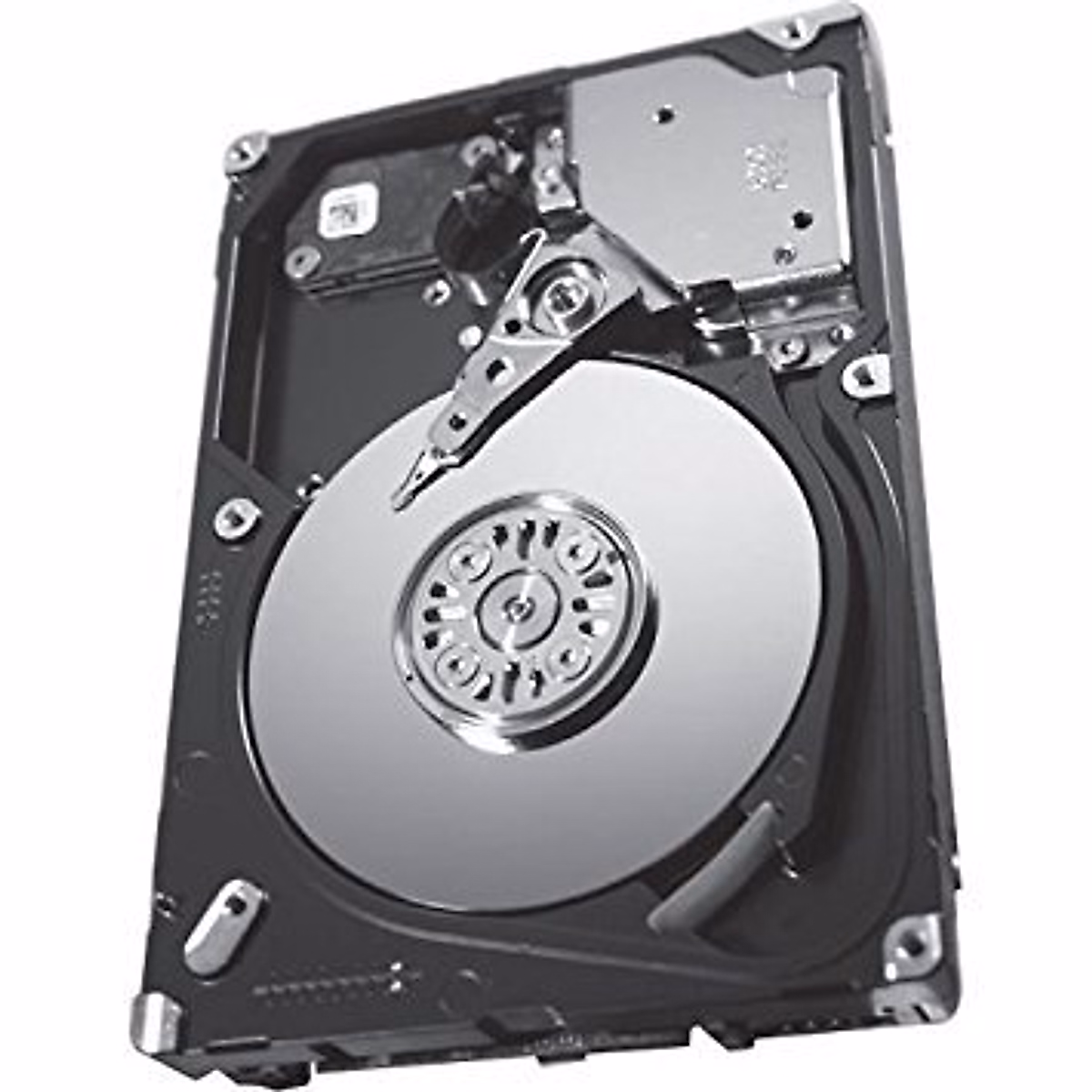 Seagate ST9300653SS