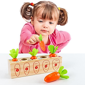 Xylolin Montessori Toys for Toddlers 1-3, Carrots Shapes Sorting and Matching Game Wooden Toys, Fine Motor Skill Early Learning Preschool Educational Toys Gifts for 1 2 3 Year Old Boys Girls