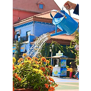 Joequality Watering Can for Outdoor&Indoor Plants，Galvanized Steel Watering Can with Stainless Steel Handles，1 Gallon Metal Plant Watering Pot Gardening Tools，Blue